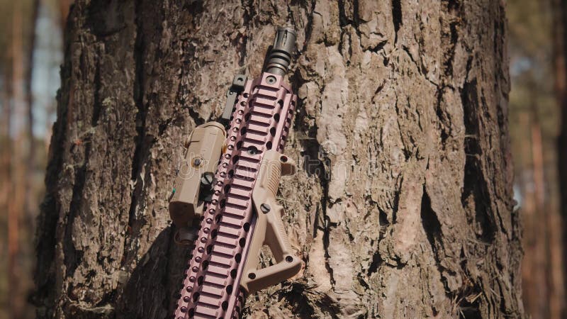 Assault Rifle Placed Next To a Tree in the Forest Stock Footage - Video ...