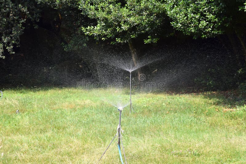 Modern Automatic Sprayer for Lawn Watering Stock Photo - Image of leaf ...