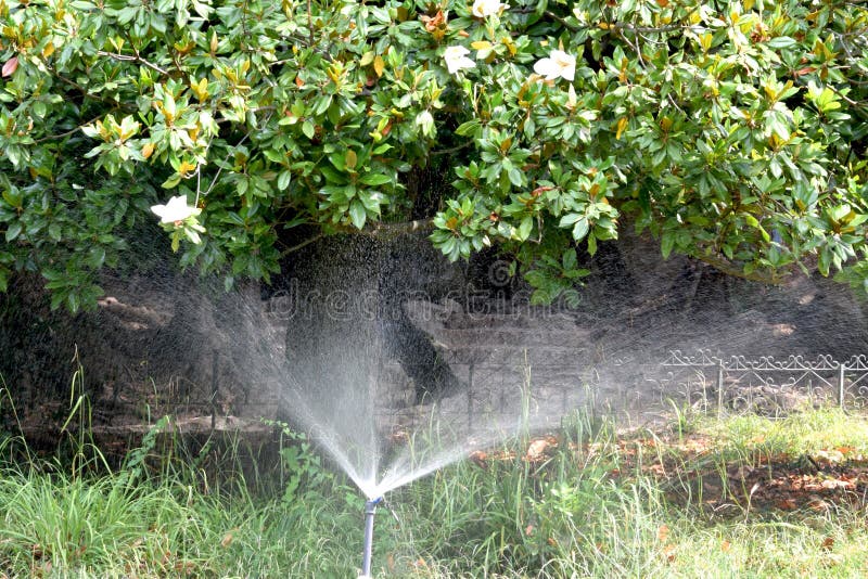 Modern Automatic Sprayer for Lawn Watering Stock Image - Image of ...