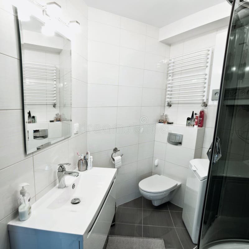 Modern badrum fotografering för bildbyråer. Bild av badrum - 43733581