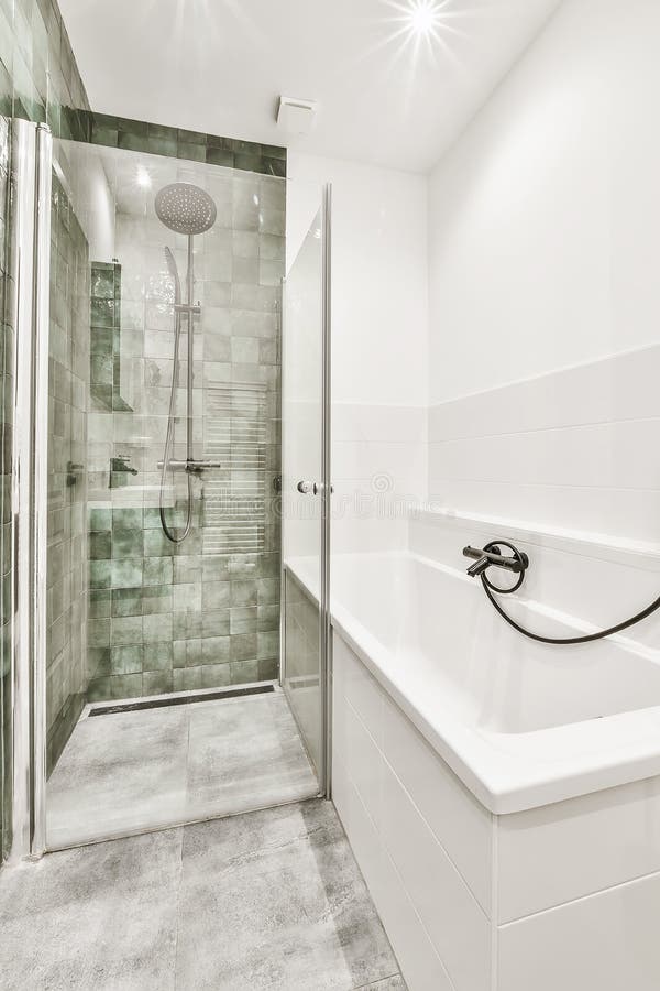 Modern badrumsinredning arkivfoto. Bild av dusch, stilfullt - 220281170