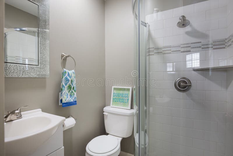 Modern Bathroom with a Toilet,shower, Sink and a Mirror Editorial Image ...