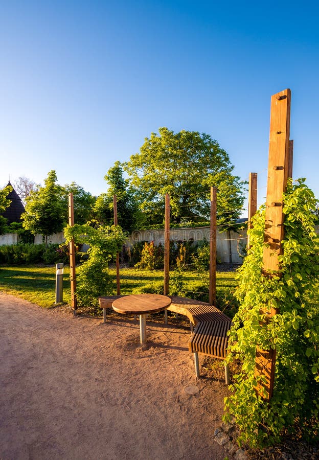 Modern Bench and Table in the Park. Stock Image - Image of landscape ...