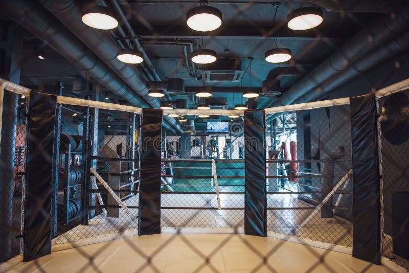 Modern boxing ring stock image. Image of physical, exercise - 319292497