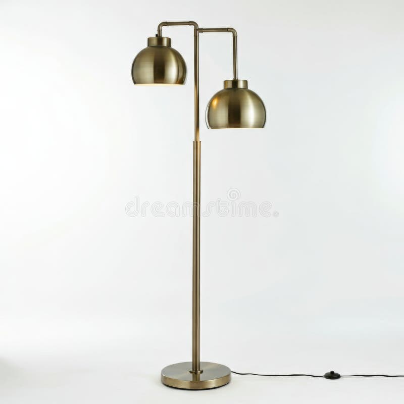 Modern Brass Floor Lamp with Dual Adjustable Dome Heads and ...