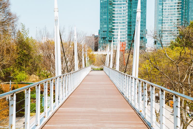 Seoul Forest Park, Modern Bridge and Spring Nature Landscape in Korea ...