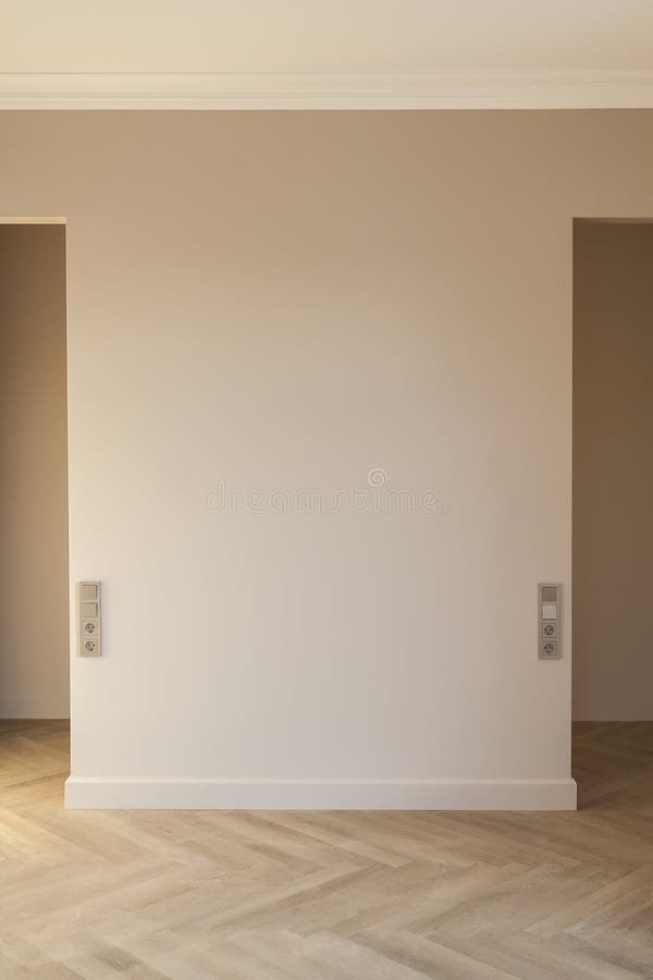 Modern and Bright Interior of Empty Cream-colored Room with Herringbone ...