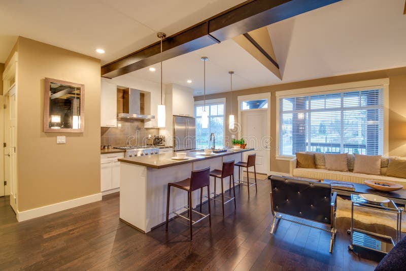 Modern Bright Kitchen and Living Room Interior Stock Image - Image of ...