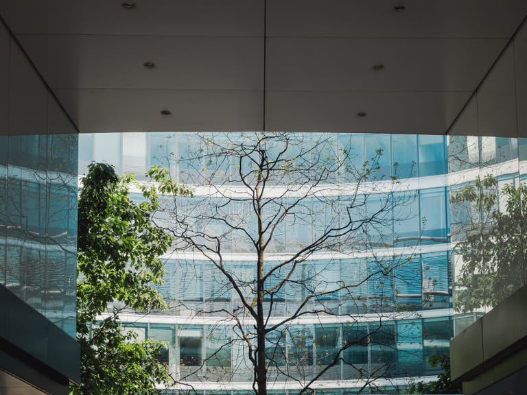 Modern Building and Empty Courtyard with Bench and Lonely Tree Stock ...