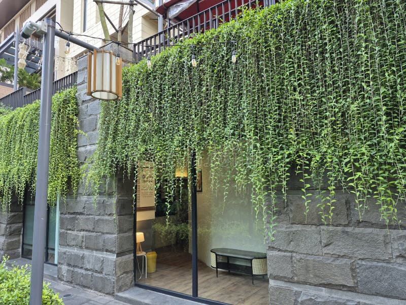 A Modern Building Facade Adorned with Cascading Green Vines that Create ...