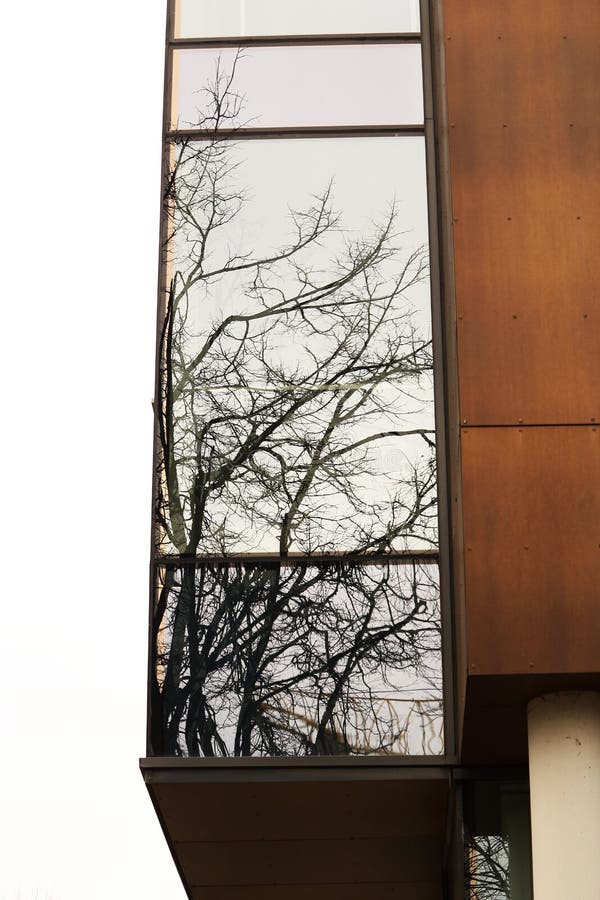 Modern Building Glass Window with Tree Branches Reflection Stock Image ...