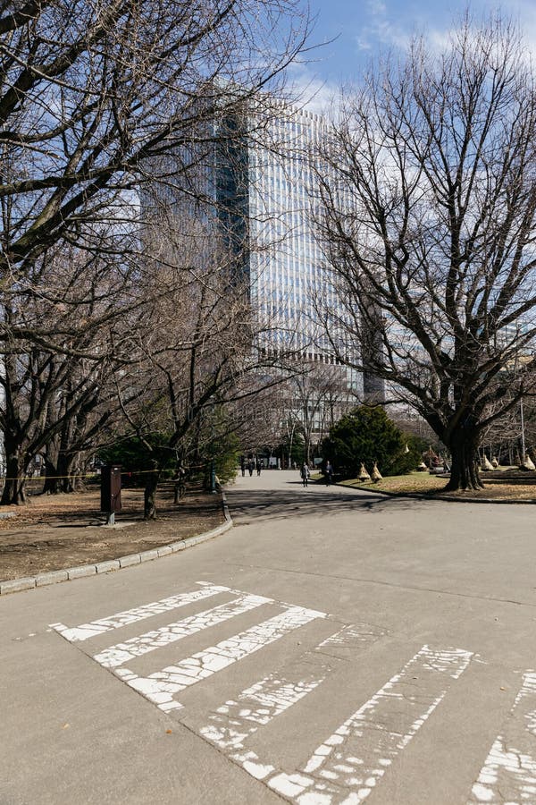 Modern Building Has Rectangle and Square Windows Form with Clear Blue ...