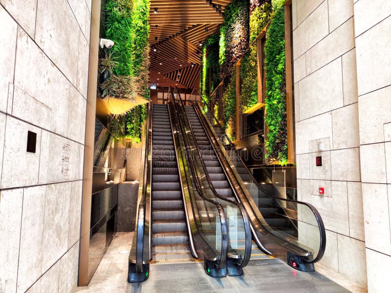 A Modern Building Interior with a Green Wall and Escalators Stock Image ...