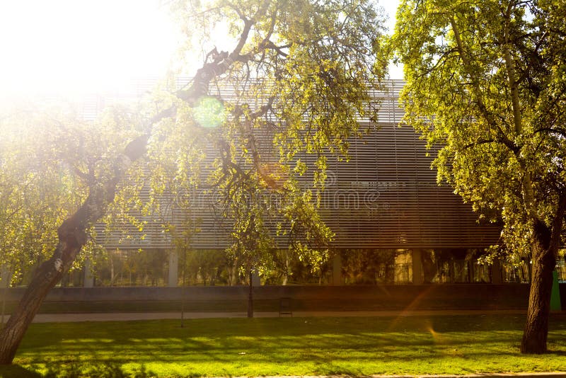 Modern building in a park stock photo. Image of grass - 25657004