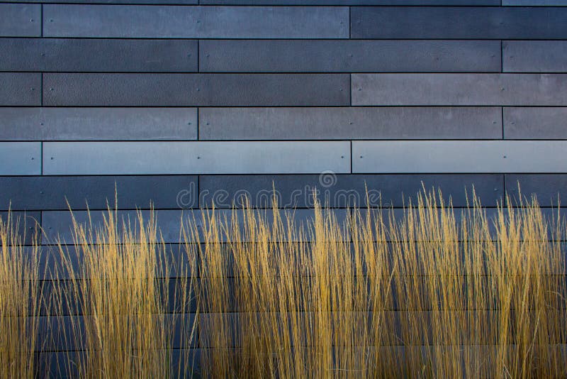 Modern Building Wood Cladding Texture Background Stock Photo - Image of ...