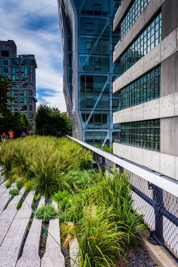 Modern Buildings Along the High Line in Manhattan, New York. Stock ...