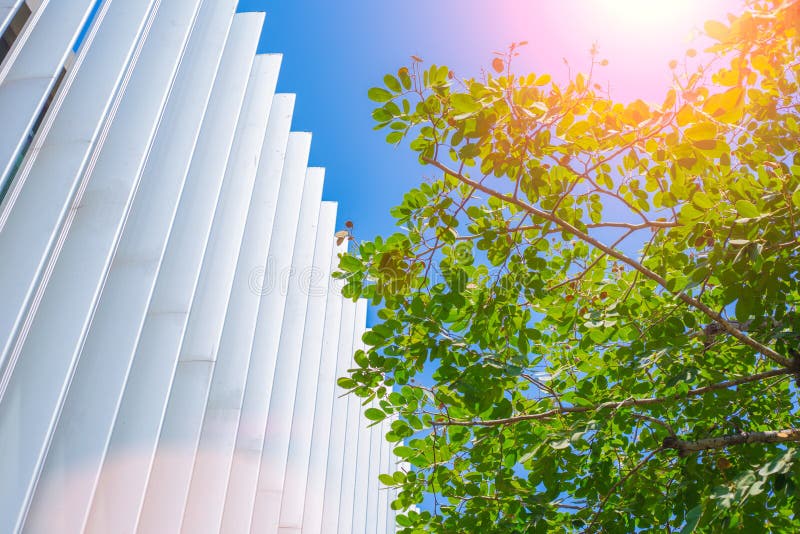 Eco Building or Green Office Plant Tree Interior Stock Image - Image of ...