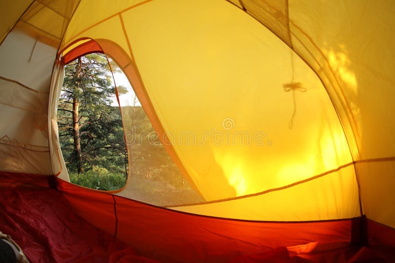 Modern Camping Tent in Wilderness at Summer, View on Forest through ...