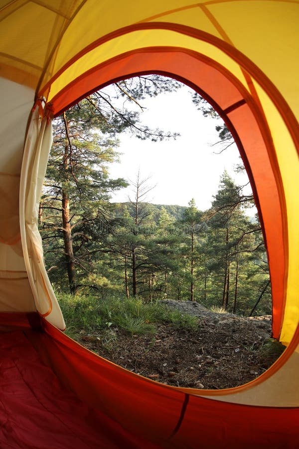 Modern Camping Tent in Wilderness at Summer, View on Forest through ...