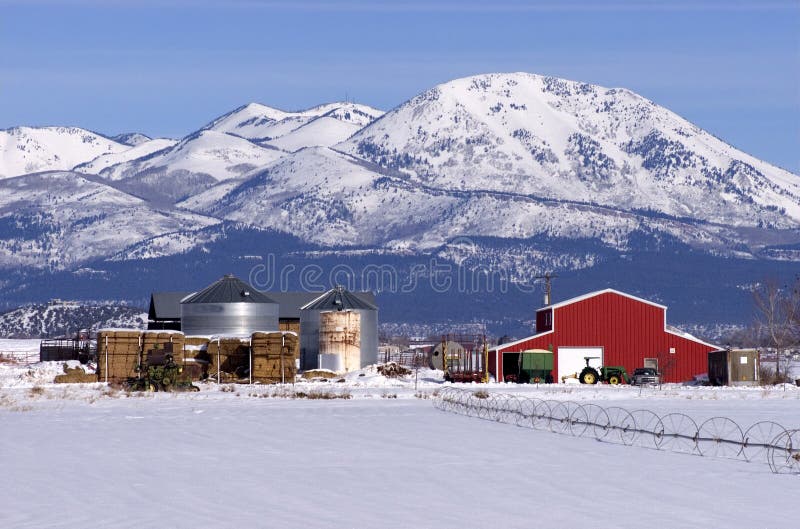 Modern Cattle Ranch Operation in Winter Mountains Stock Image - Image ...