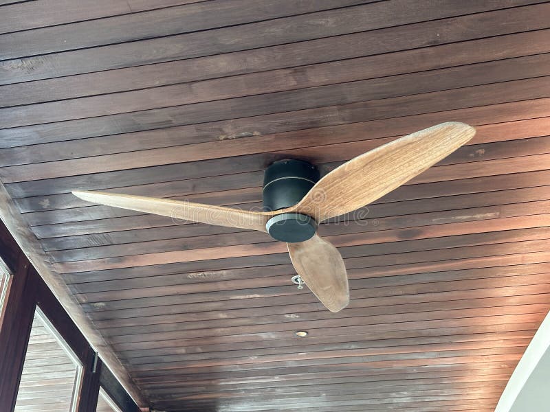 Modern Ceiling Fan with Wooden Blades in Elegant Interior Space with ...