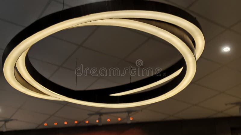 Modern Circular Ceiling Light Fixture with Elegant Curved Design in ...