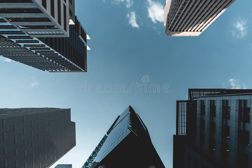 Modern Cityscape Featuring an Array of Towering Skyscrapers Reaching Up ...