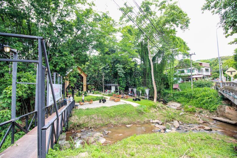 Modern Coffee Shop in a Quiet Forest Editorial Photography - Image of ...