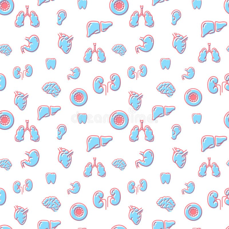 Modern Colour Humans Organs, Seamless Pattern on White Stock ...