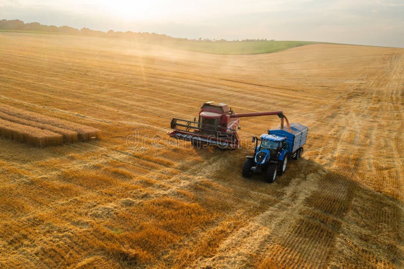Modern Combine Harvester Efficiently Loading a Tractor Trailer Stock ...