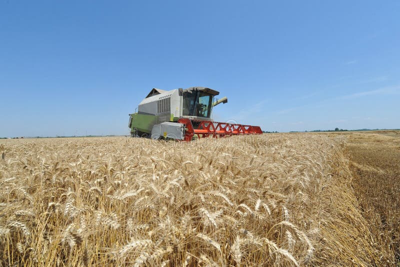 Modern Combine Harvester at Work Stock Photo - Image of canada, corns ...