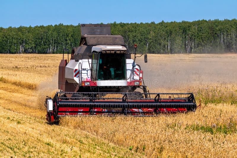 The Modern Green Combine Harvester on Agricultural Field in the Rays of ...