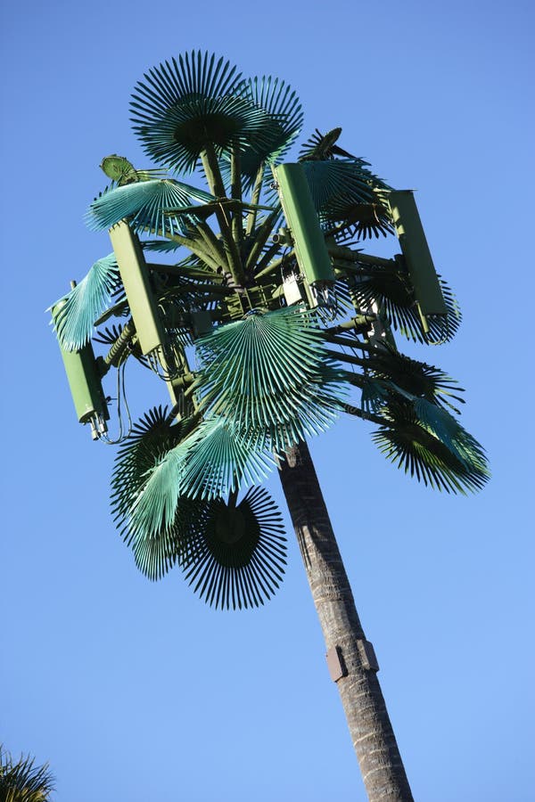 144 Palm Tree Cell Tower Stock Photos - Free & Royalty-Free Stock ...