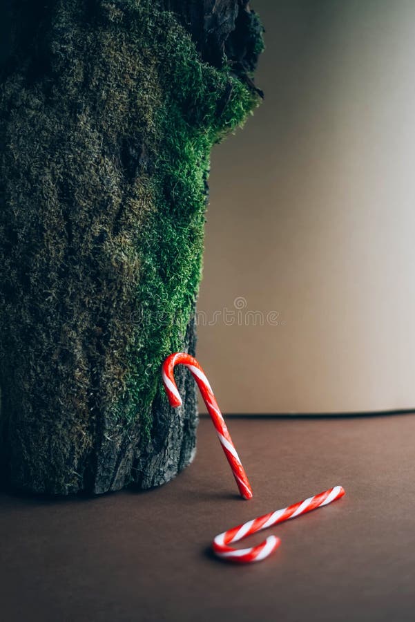 Modern Composition with Natural Elements and Candy Cane Stock Photo ...