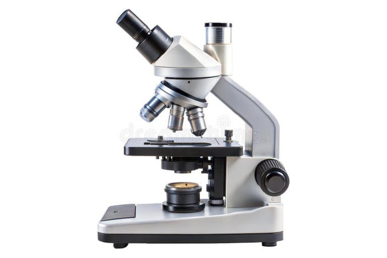 Modern Compound Light Microscope Stock Illustration - Illustration of ...