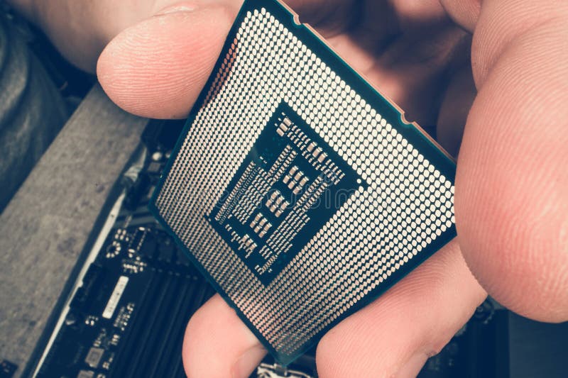 Modern Computer Chip in Technician Hand Stock Image - Image of data ...