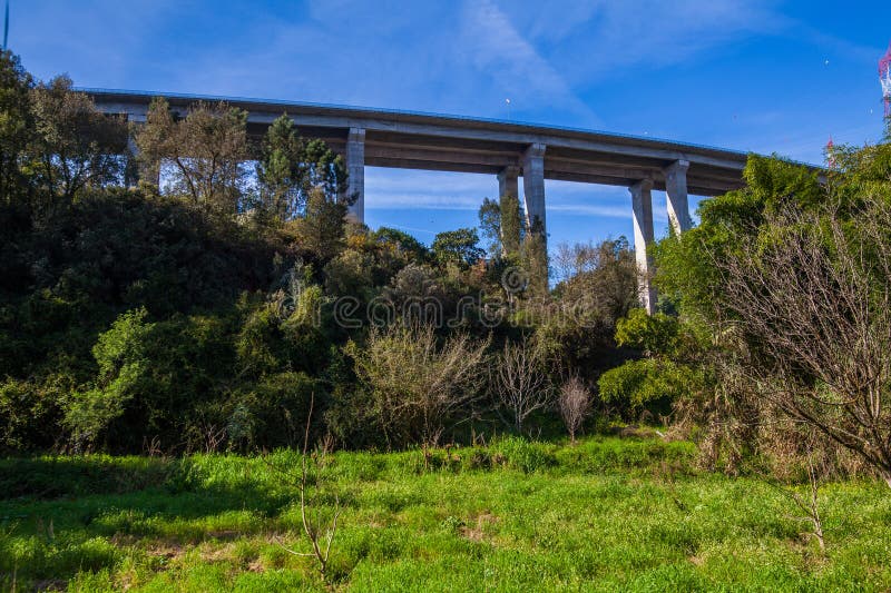 A Modern Concrete Bridge Spans a Lush Green Landscape with a Mix of ...