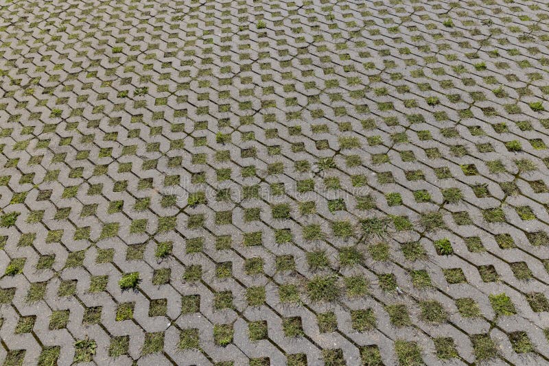 A Modern Concrete Tile that Allows Plants To Grow Stock Photo - Image ...