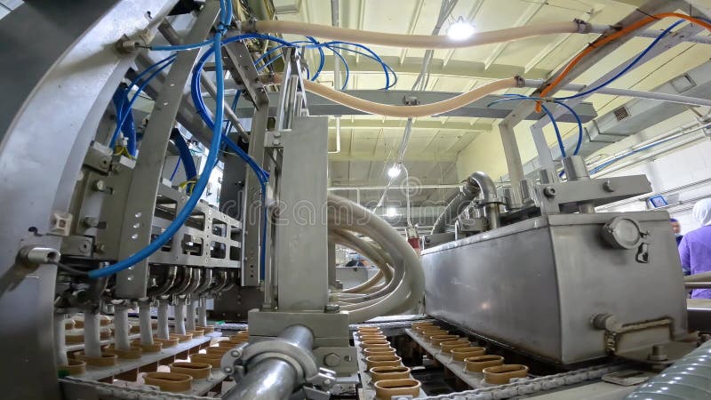 A Modern Conveyor for the Production of Ice Cream. Ice Cream Production ...