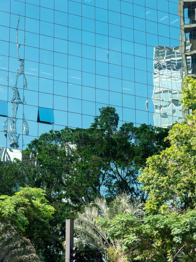 Modern Corporate Skyscraper Building with Tree Reflections Stock Image ...