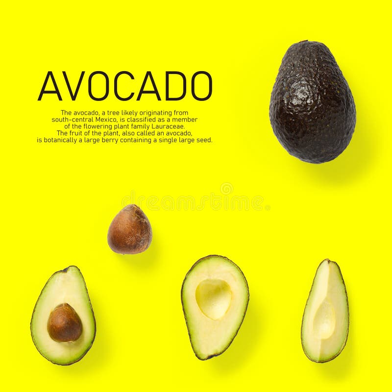 Modern Creative Avocado Collage with Simple Text on Solid Color ...
