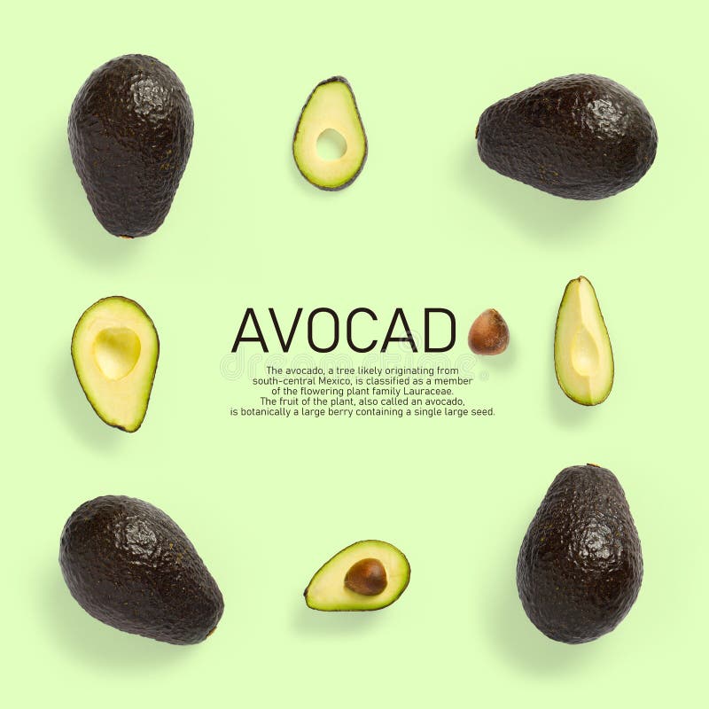 Modern Creative Avocado Collage with Simple Text on Solid Color ...