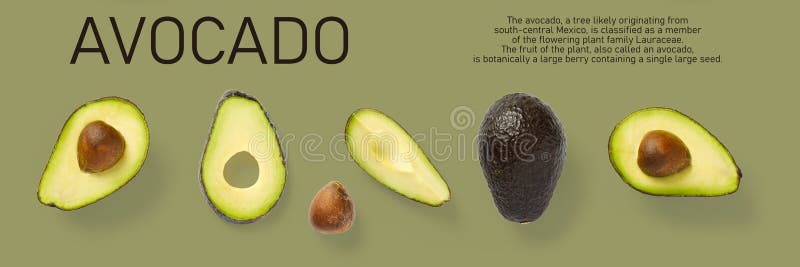 Modern Creative Avocado Collage with Simple Text on Solid Color ...