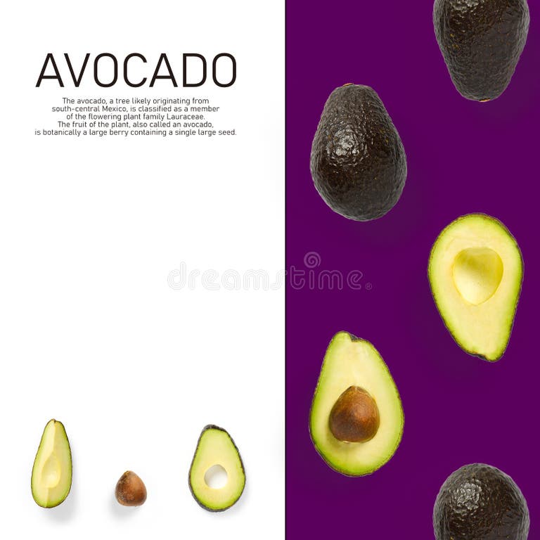 Modern Creative Avocado Collage with Simple Text on Solid Color ...