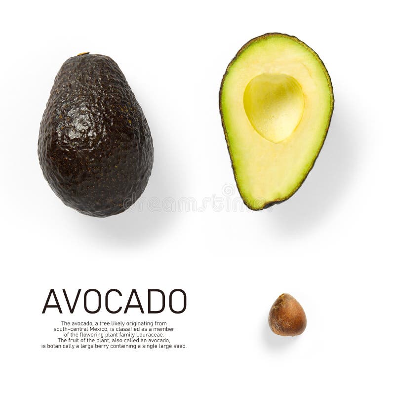 Modern Creative Avocado Collage with Simple Text on Solid Color ...