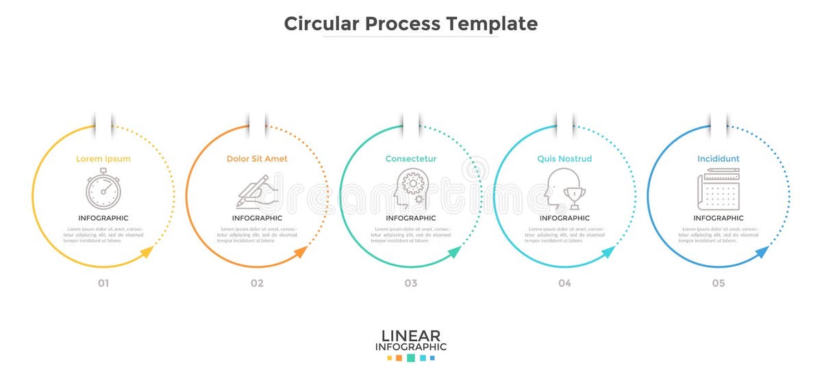 Cyclic Stages Stock Illustrations – 314 Cyclic Stages Stock ...