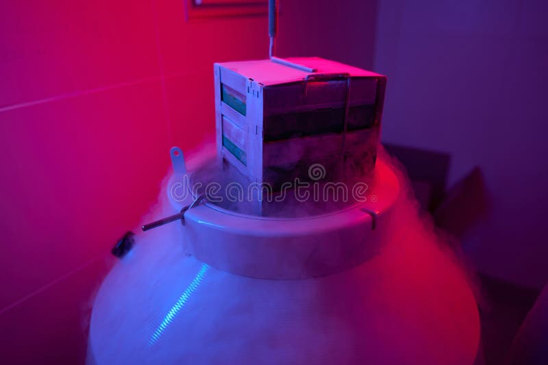 Modern Cryostorage for the Preservation of Biomaterial Stock Image ...