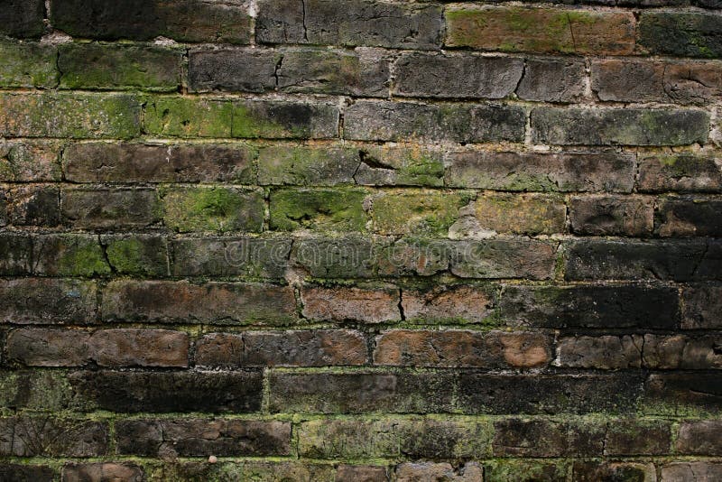 Modern Decorative Colored Stone Brick Wall Background Stock Image ...