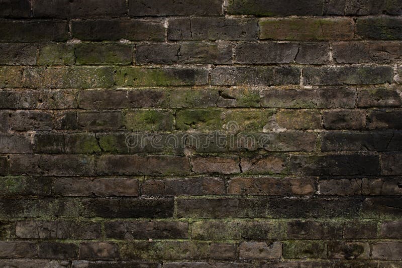 Modern Decorative Colored Stone Brick Wall Background Stock Photo ...