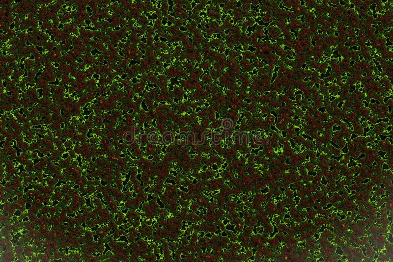 Artistic Beautiful Abstract Acid Computer Graphics Backdrop ...